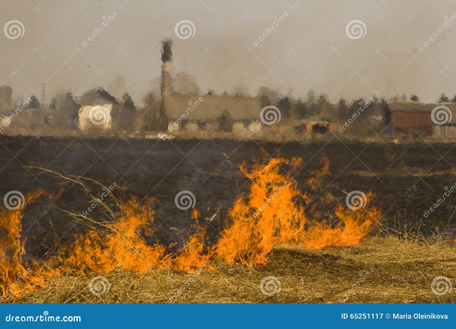 Summer fire stock image. Image of farm, loss, agriculture - 65251117