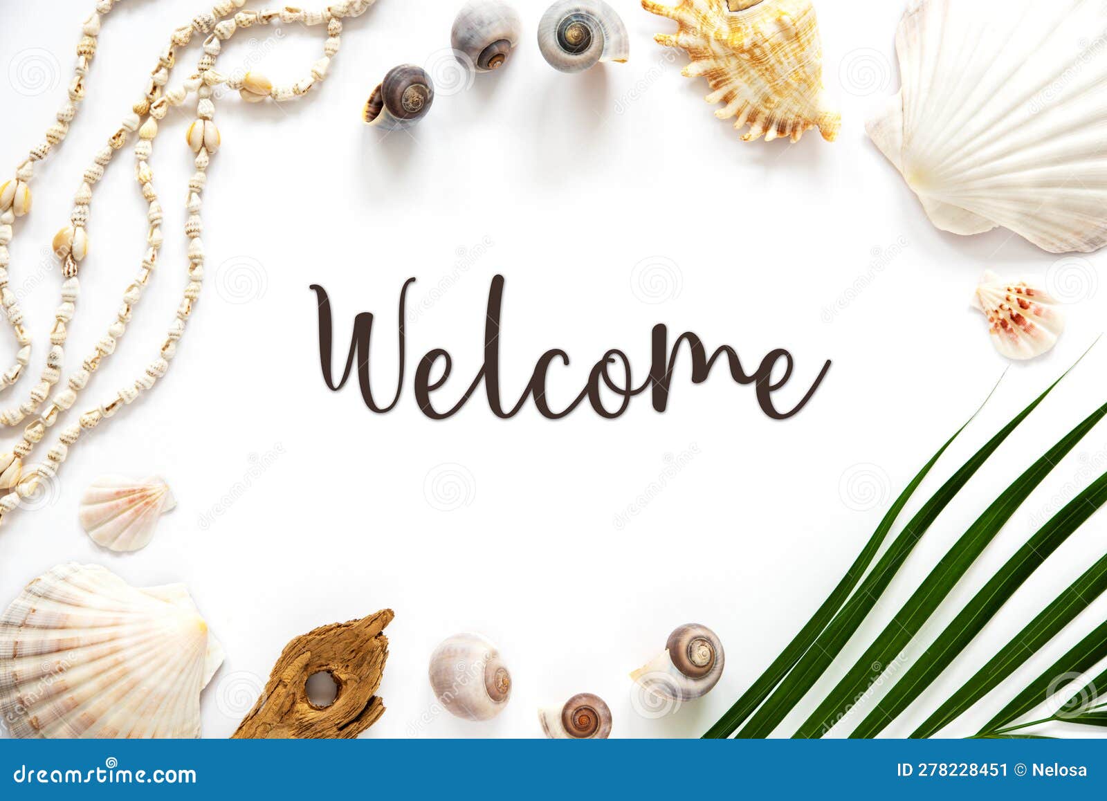 Summer Flat Lay White, Shells and Plants, Summer Background, Text ...