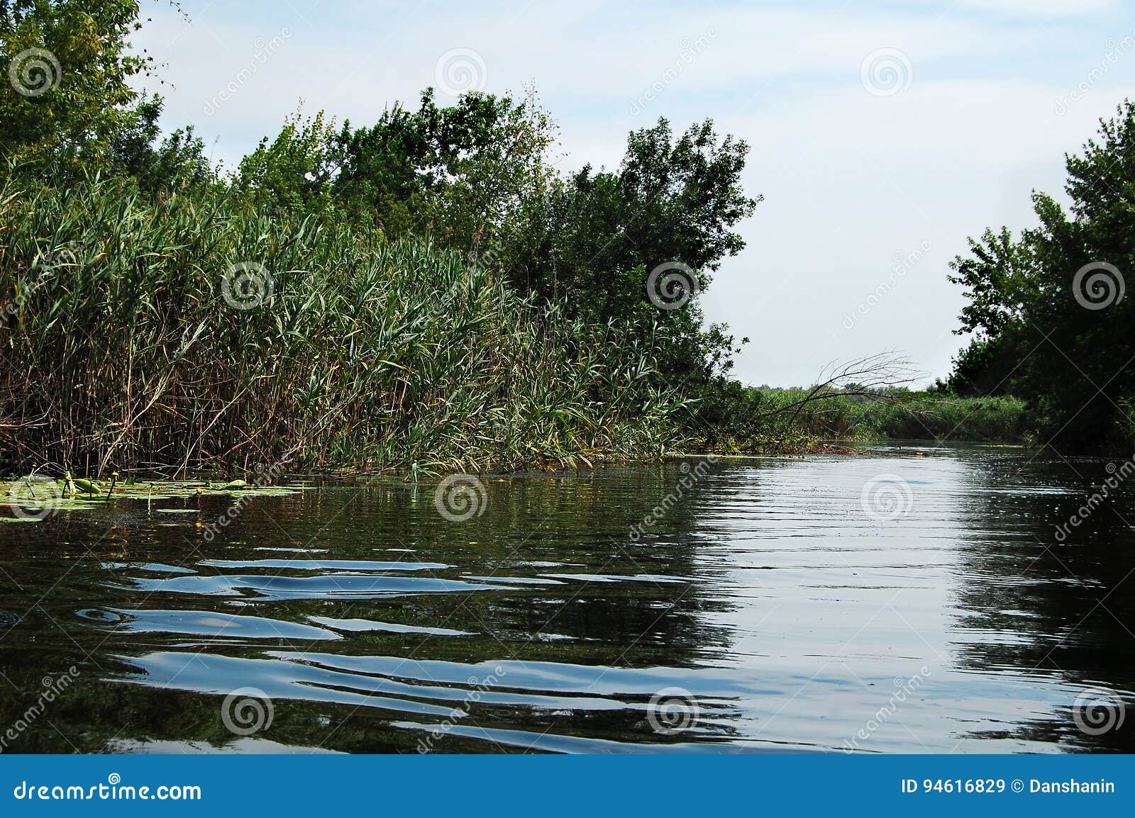 Floodplain River Meanders Delta Dron Aerial Video Shot Inland Sandy ...