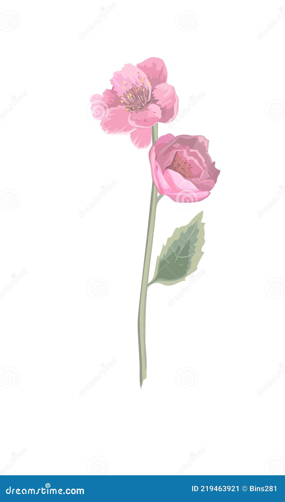 Summer Flower Drawing in Vector. Isolated Image Stock Vector ...