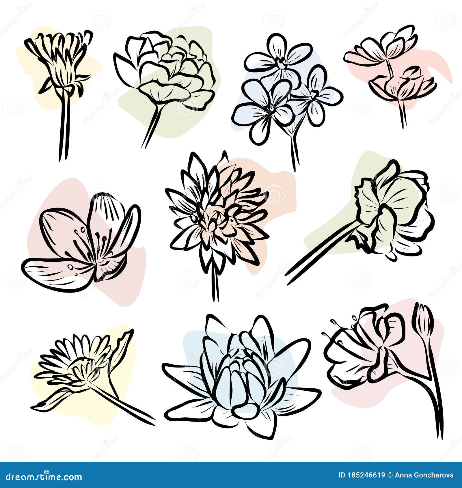 Summer Flowers Contour Set of Ten Vector Image Stock Vector ...