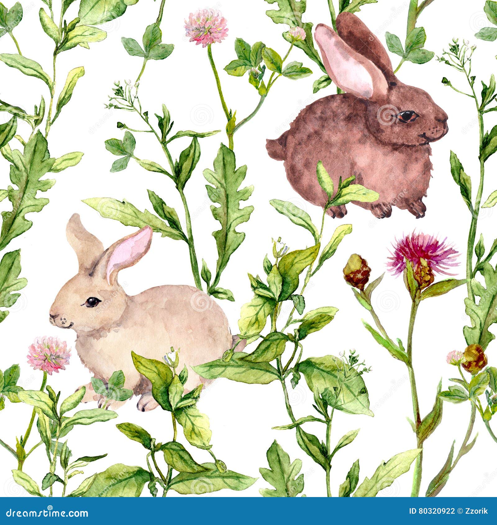Summer Flowers, Herbs, Rabbits. Seamless Pattern. Watercolor Stock ...