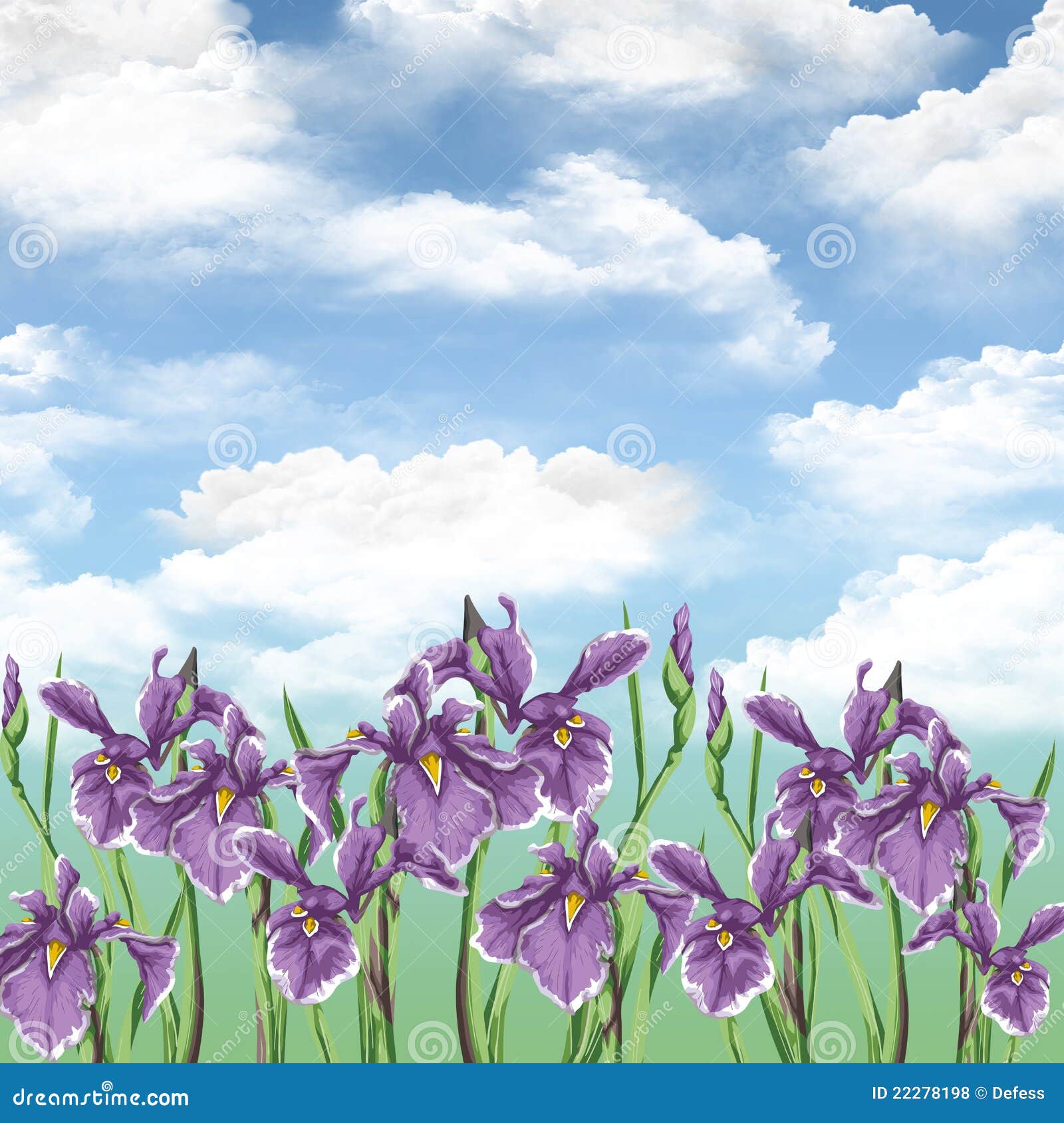 Summer flowers. Irises. stock photo. Image of beautiful - 22278198