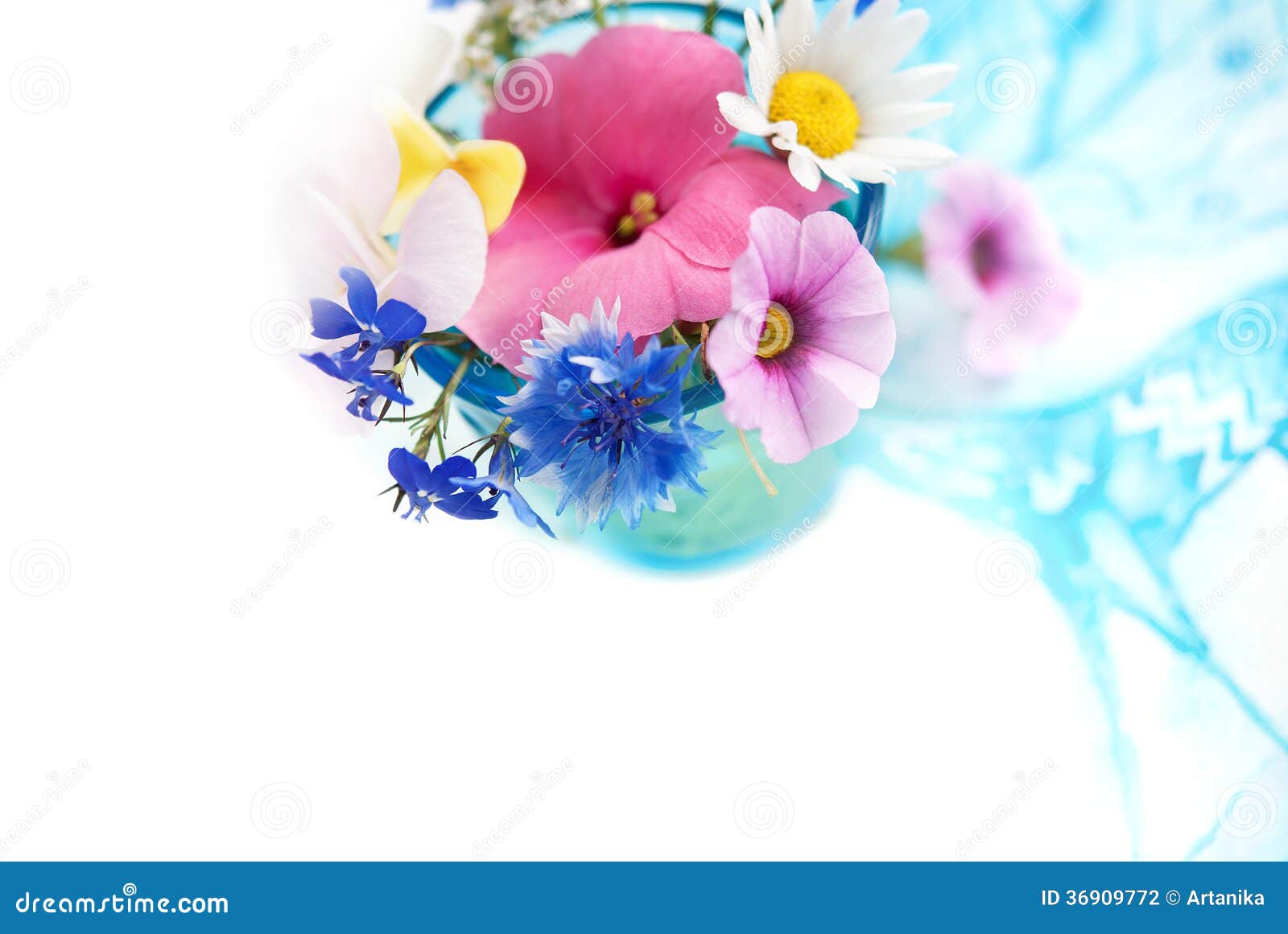 Summer flowers stock photo. Image of border, symbol, message - 36909772