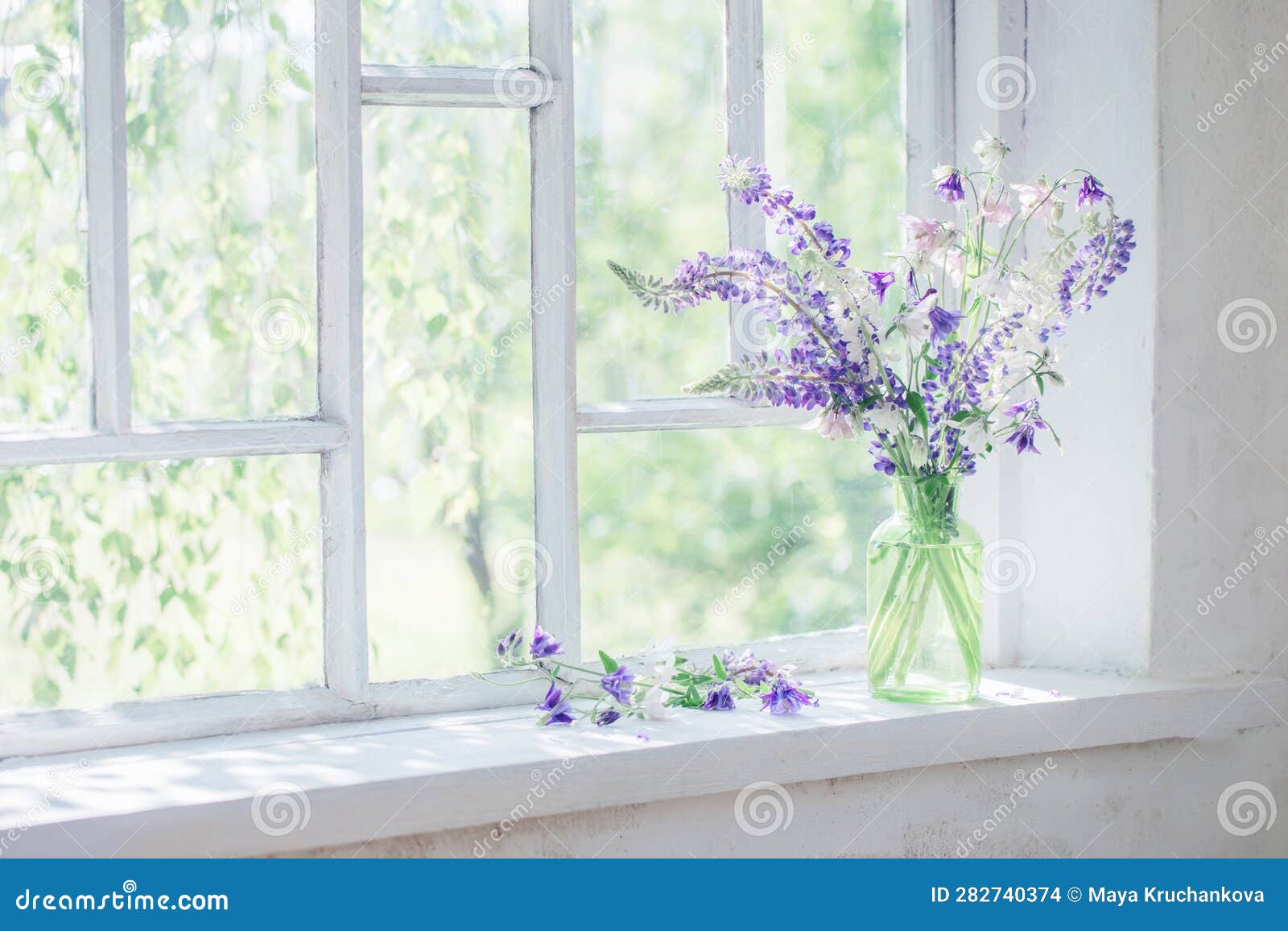 Summer Flowers in Vase on Windowsill in Sunlight Stock Photo - Image of ...