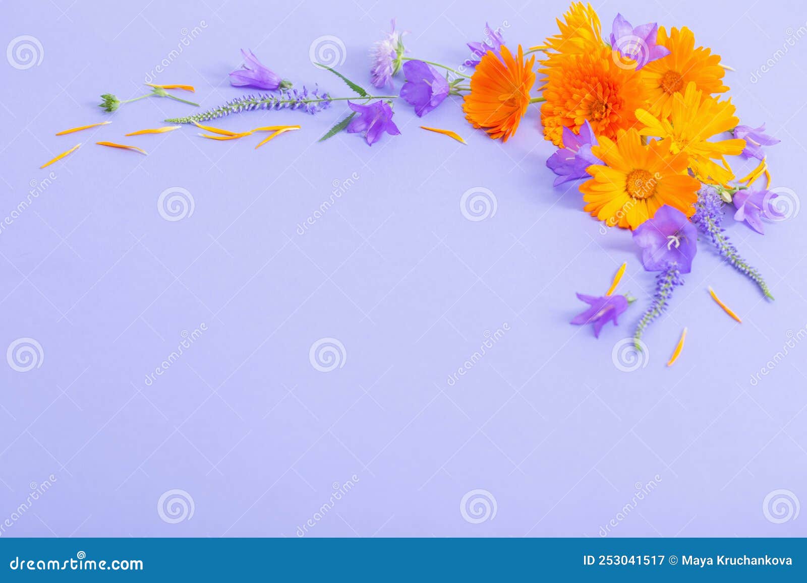 Summer Flowers on Violet Paper Background Stock Image - Image of floral ...