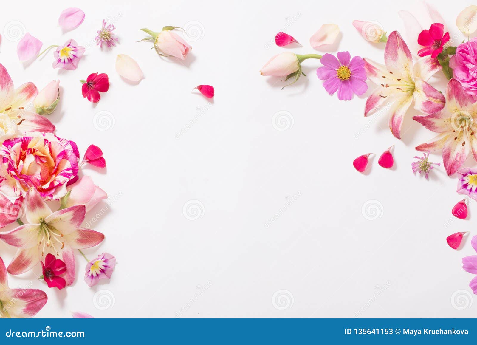 Summer Flowers on White Background Stock Image - Image of fresh ...