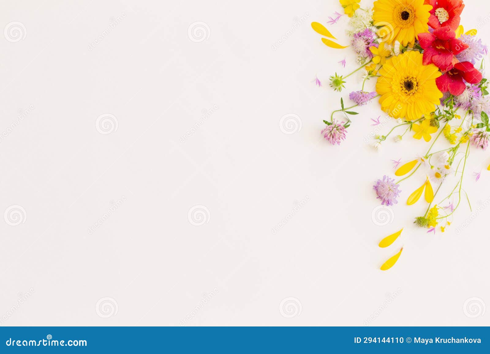 Summer Flowers on White Background Stock Photo - Image of colorful ...