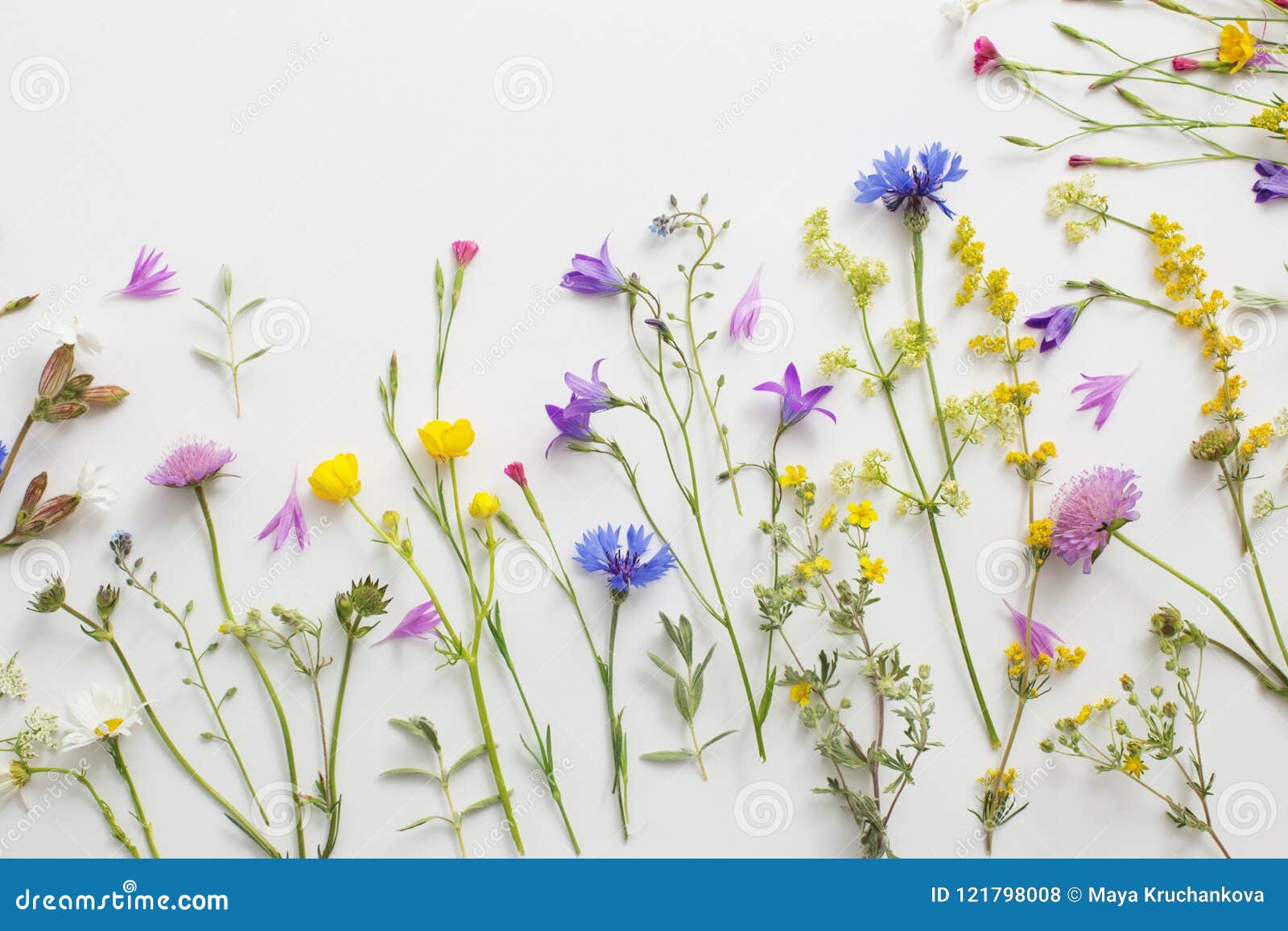 4,751,402 Summer White Background Stock Photos - Free & Royalty-Free ...