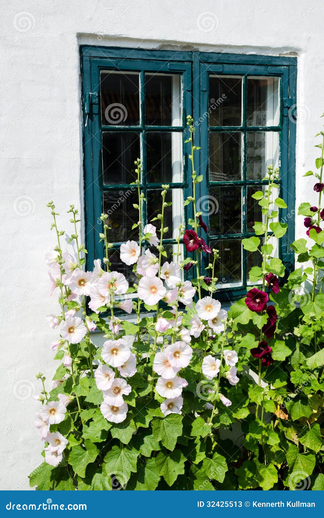 Summer flowers at a window stock image. Image of alcea - 32425513