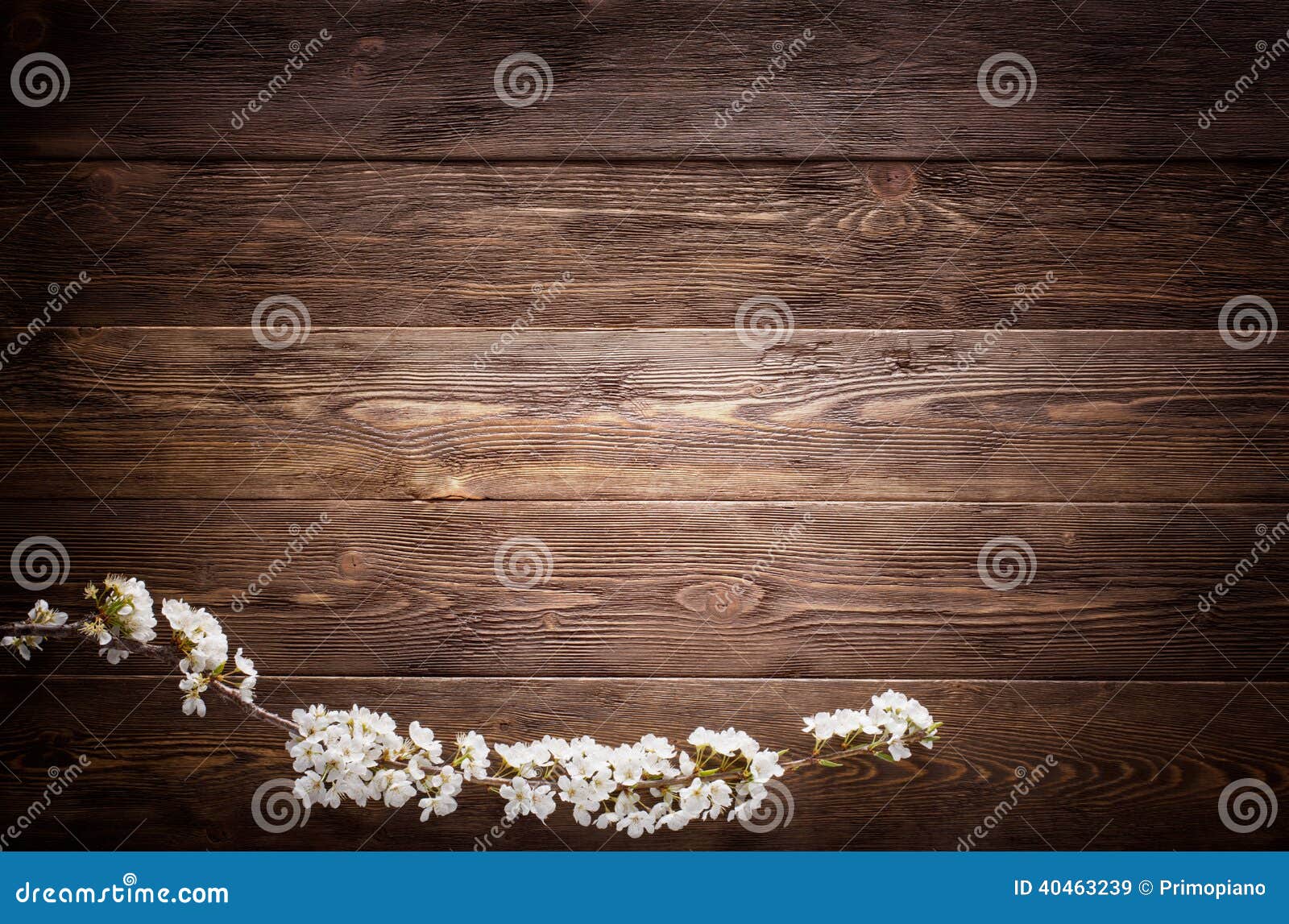 51,158 Flowers Wood Texture Background Photos - Free & Royalty-Free ...