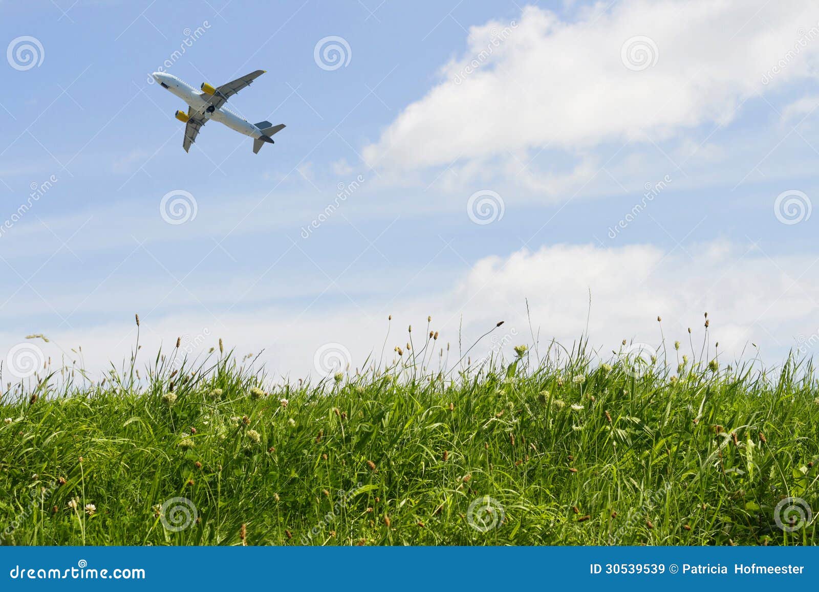 Summer flying stock image. Image of blue, environment - 30539539