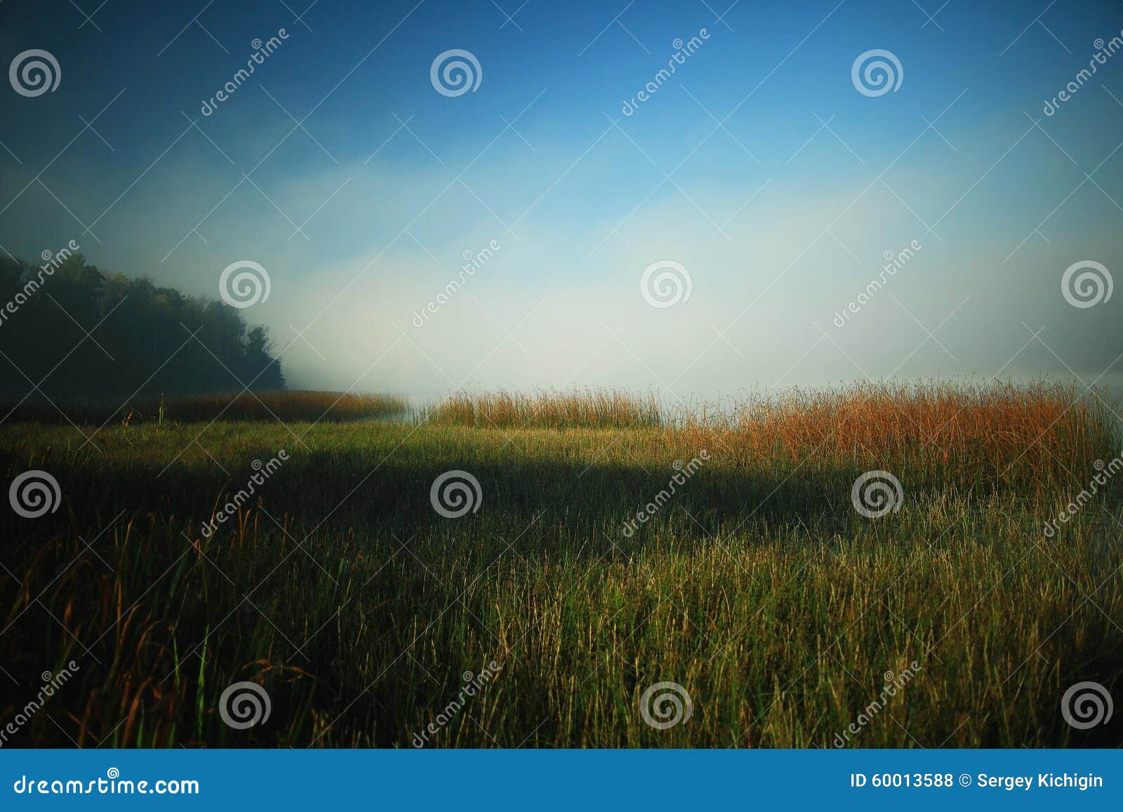 Summer fog in field stock photo. Image of environment - 60013588