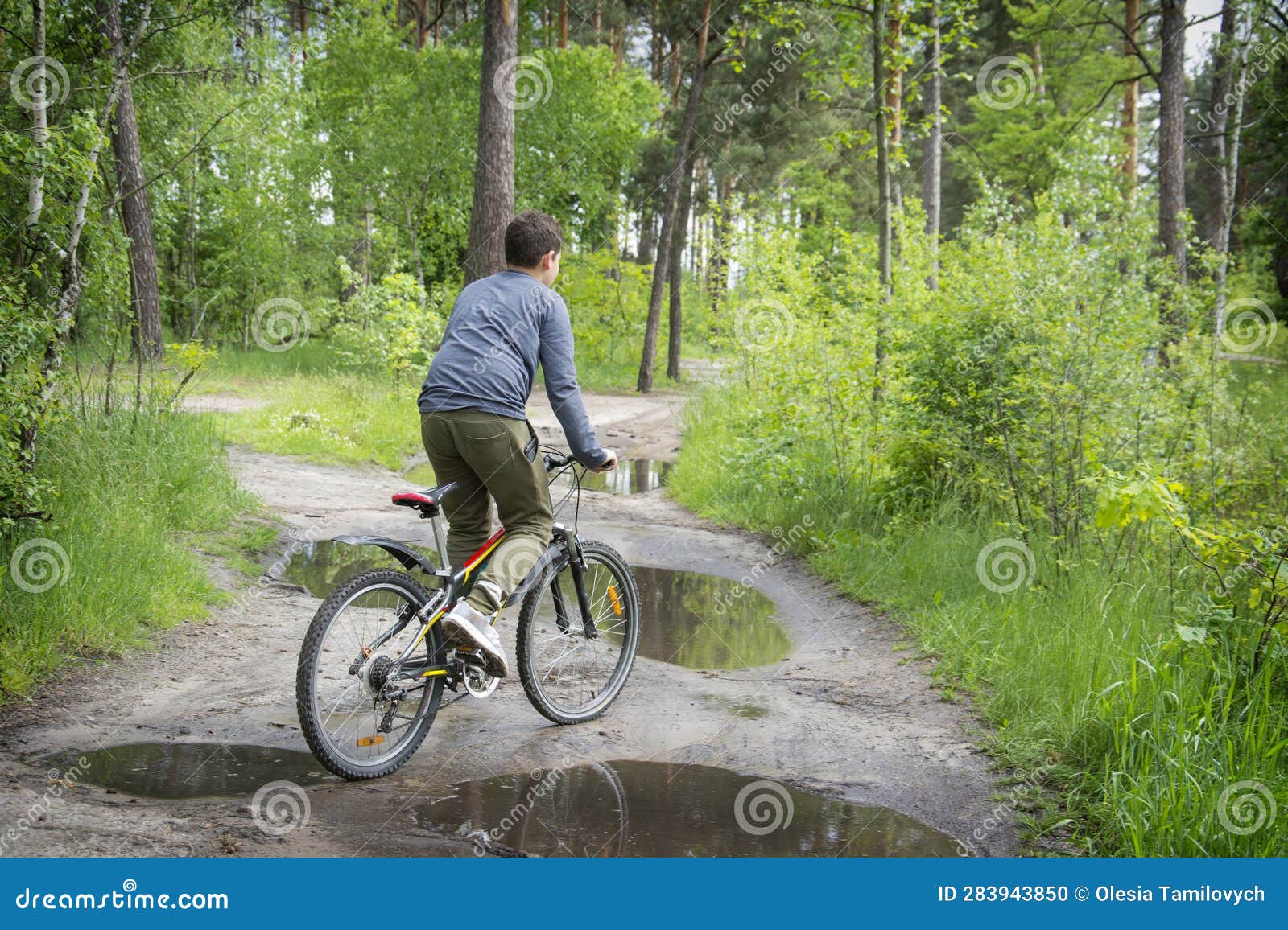 In the Summer in the Forest, a Boy Rides a Bicycle through a Puddle ...
