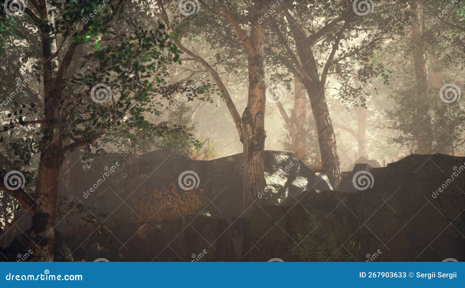 Summer Forest with Deep Fog Stock Image - Image of fantasy, mysterious ...