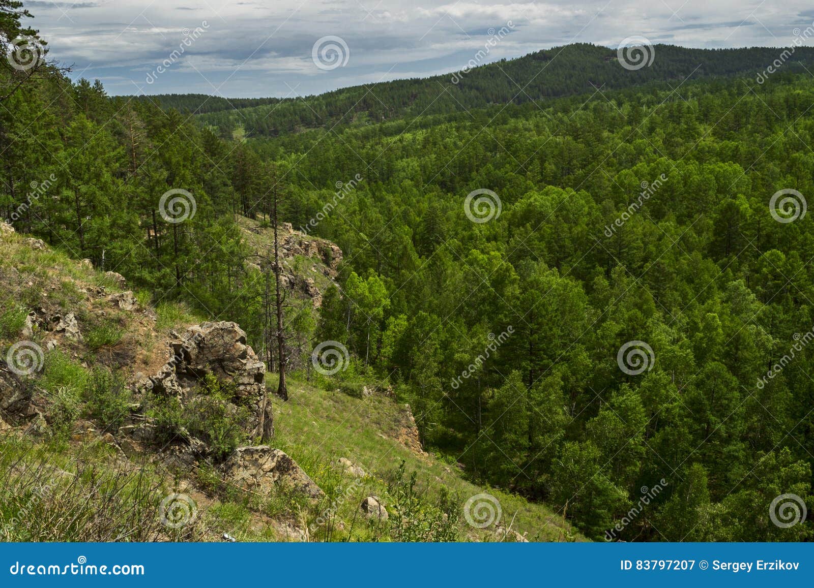 Summer Forest. Landscape with Rock in Forest Stock Image - Image of ...
