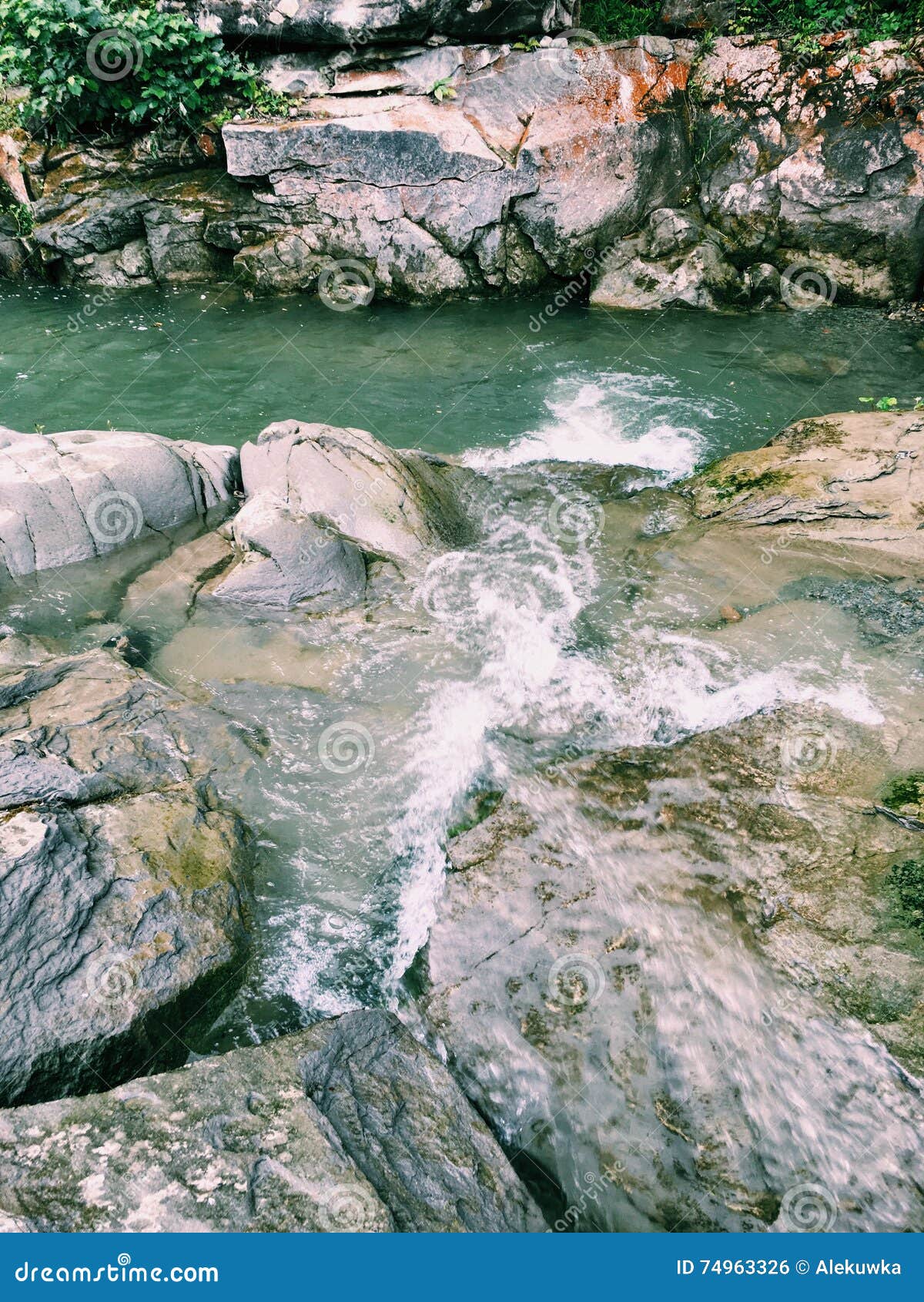 In Summer Forest Mountain Stream Stock Photo - Image of fresh, scenic ...