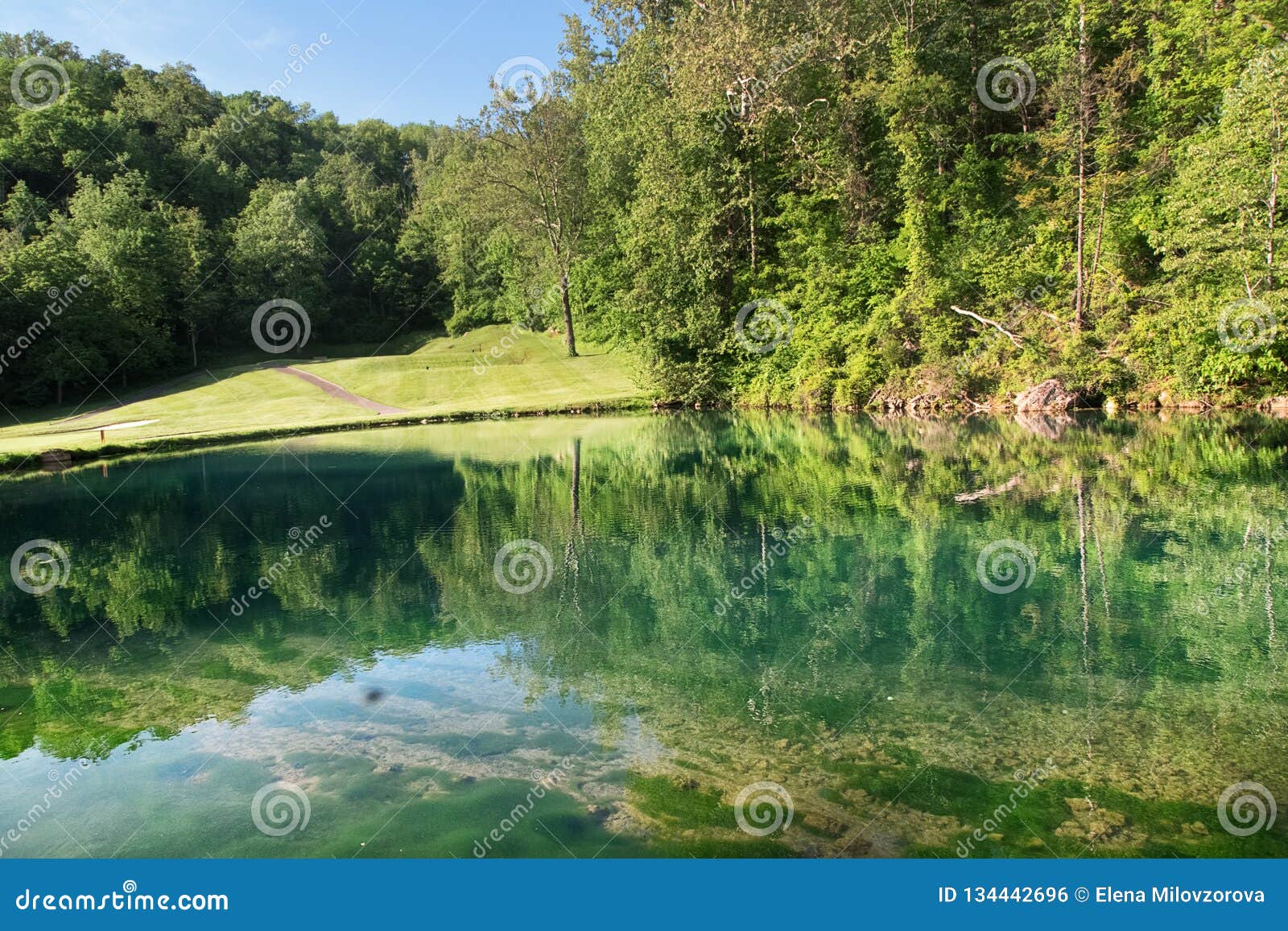Summer Forest Pond Landscape. Stock Photo - Image of golf, outdoor ...