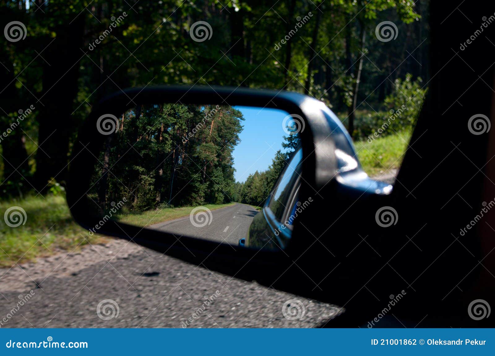 Summer Forest Road in the Rear View Stock Photo - Image of view, empty ...