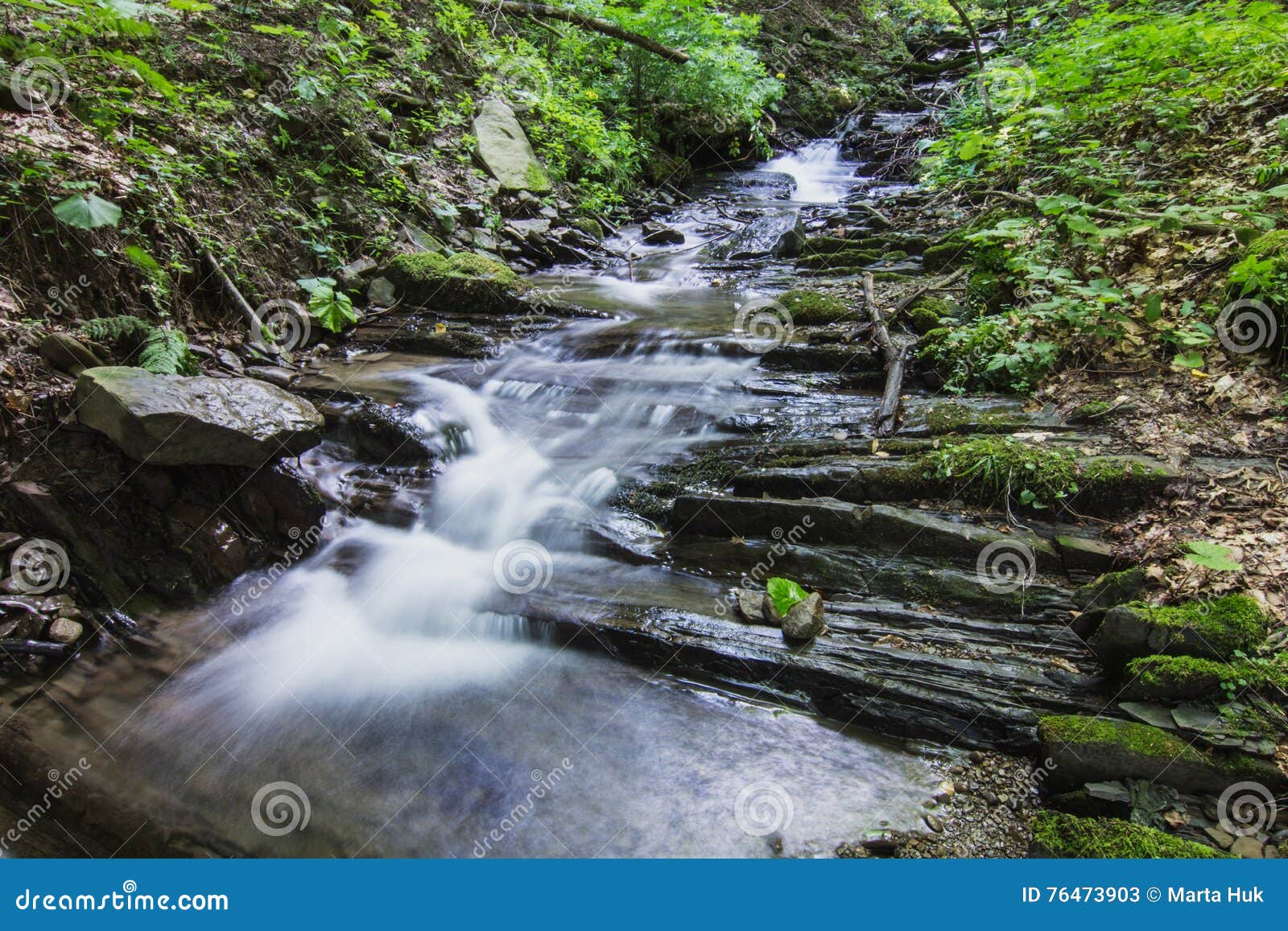 Summer forest stream stock image. Image of moss, nature - 76473903