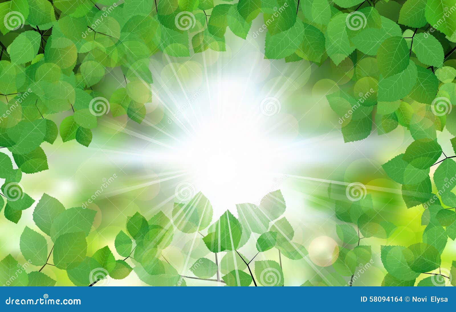Summer Fresh Leaf Green Leaves with Sun Rays Stock Vector ...
