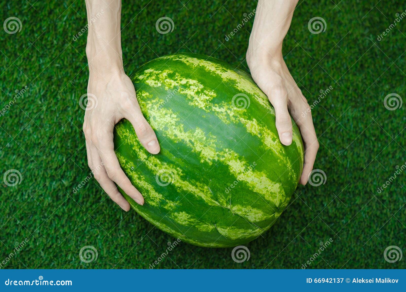 Summer and Fresh Watermelon Topic: Human Hand Touching a Watermelon on ...