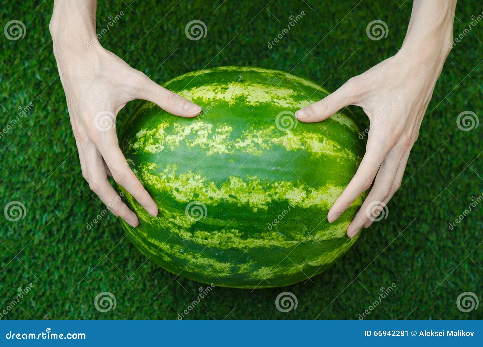 Summer and Fresh Watermelon Topic: Human Hand Touching a Watermelon on ...