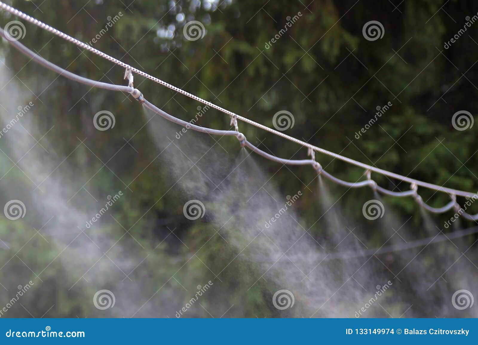 Summer freshness stock photo. Image of steam, damp, fresh - 133149974