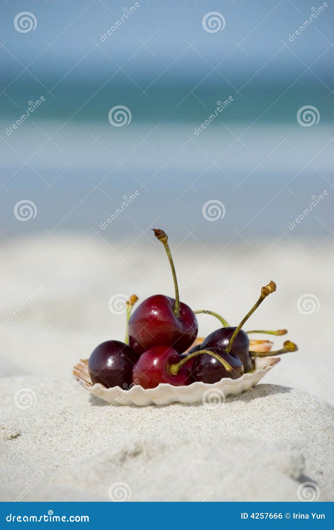 Summer fruits at the beach stock photo. Image of colorful - 4257666