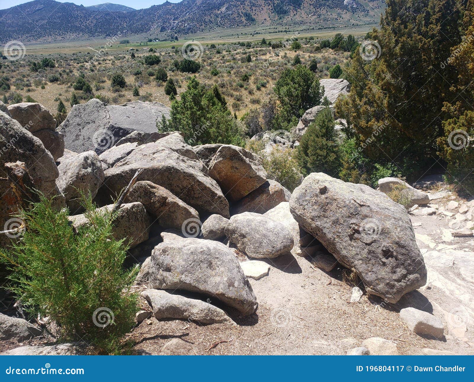 Summer fun and adventure stock image. Image of ridge - 196804117