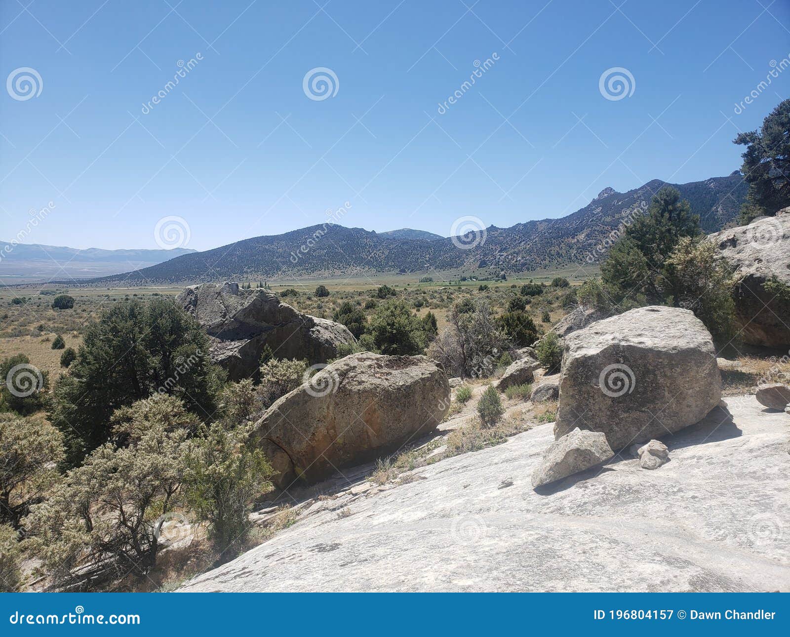 Summer fun and adventure stock image. Image of plateau - 196804157