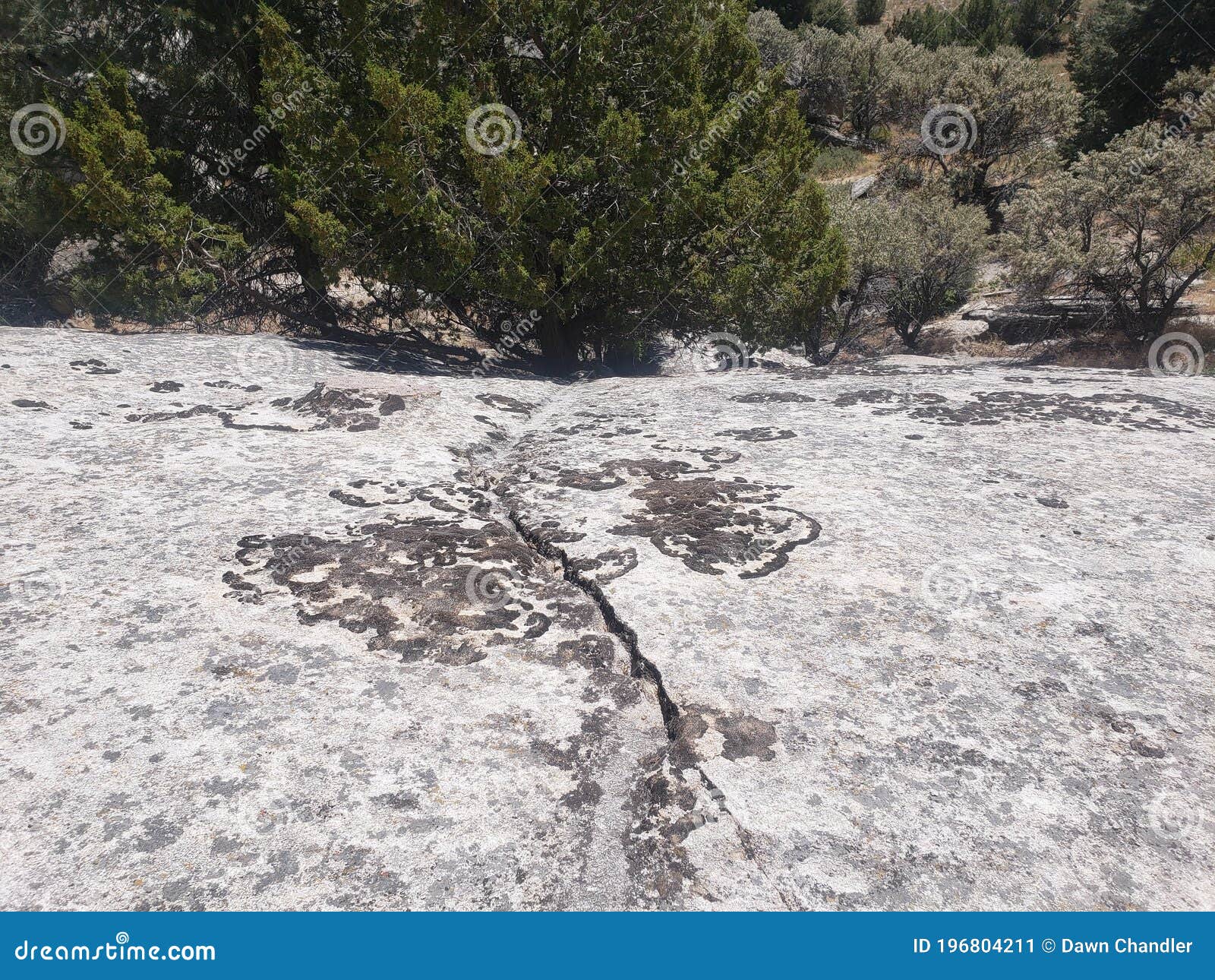 Summer fun and adventure stock image. Image of adventure - 196804211