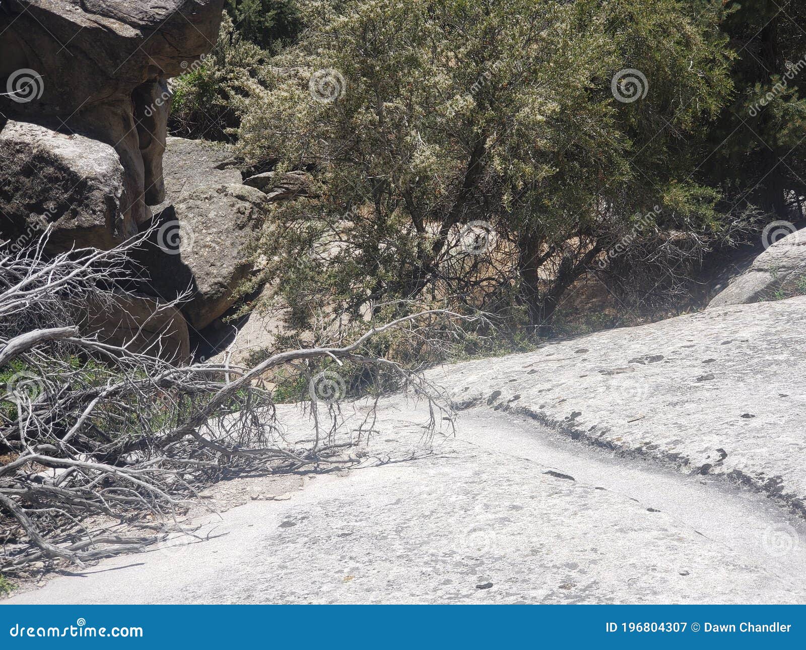 Summer Fun and Adventure Hiking Trails Stock Image - Image of badlands ...