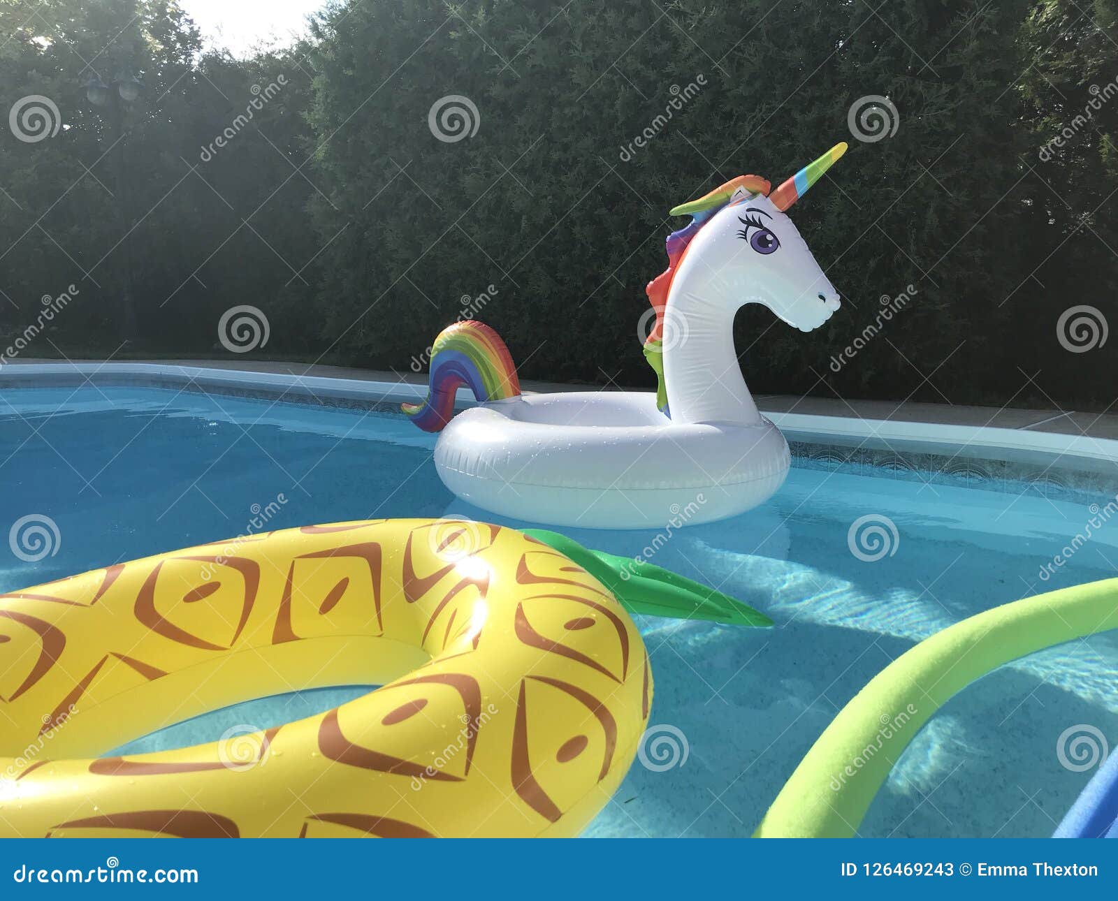Summer fun stock image. Image of chilling, water, summer - 126469243