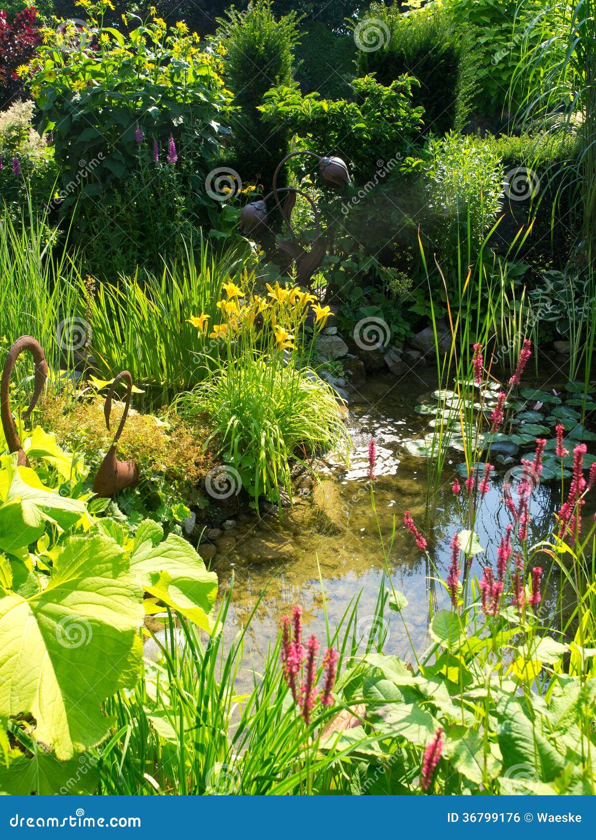 Summer in the garden stock photo. Image of fllower, lantern - 36799176