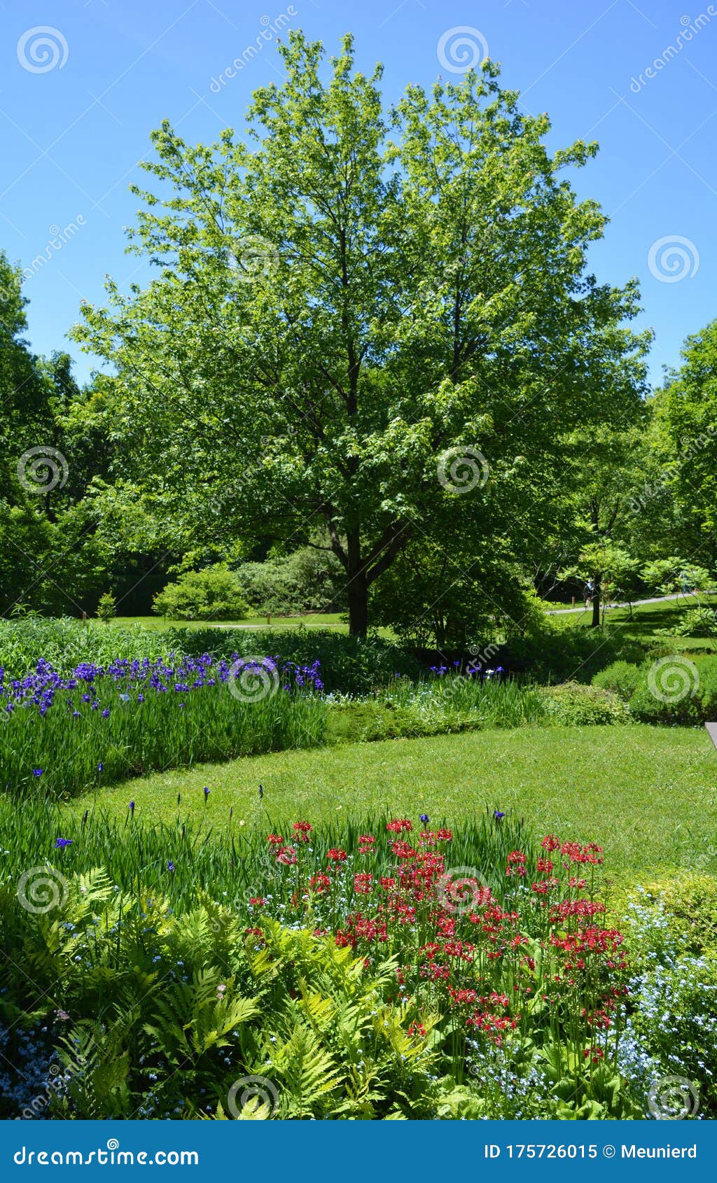 Summer Garden Landscape Montreal Stock Image - Image of agriculture ...