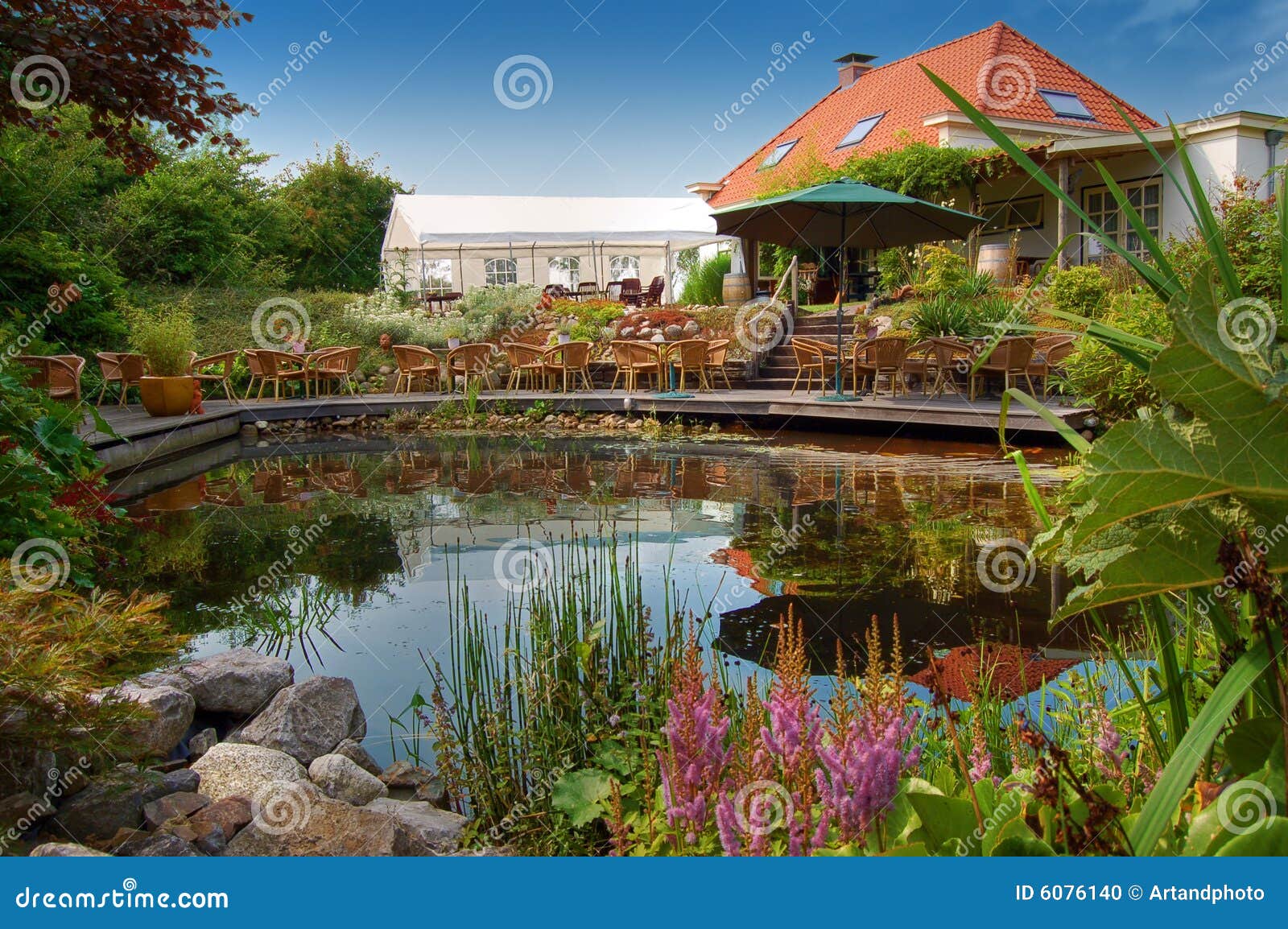 Summer garden with a pond stock photo. Image of water - 6076140