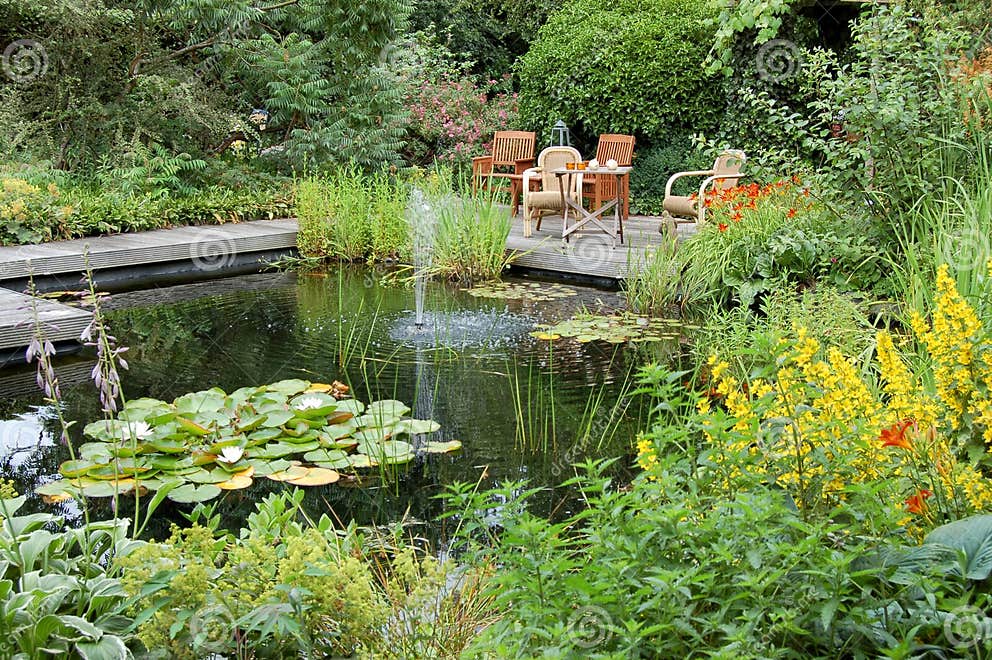 Summer Garden with a Pond stock image. Image of garden - 6117983