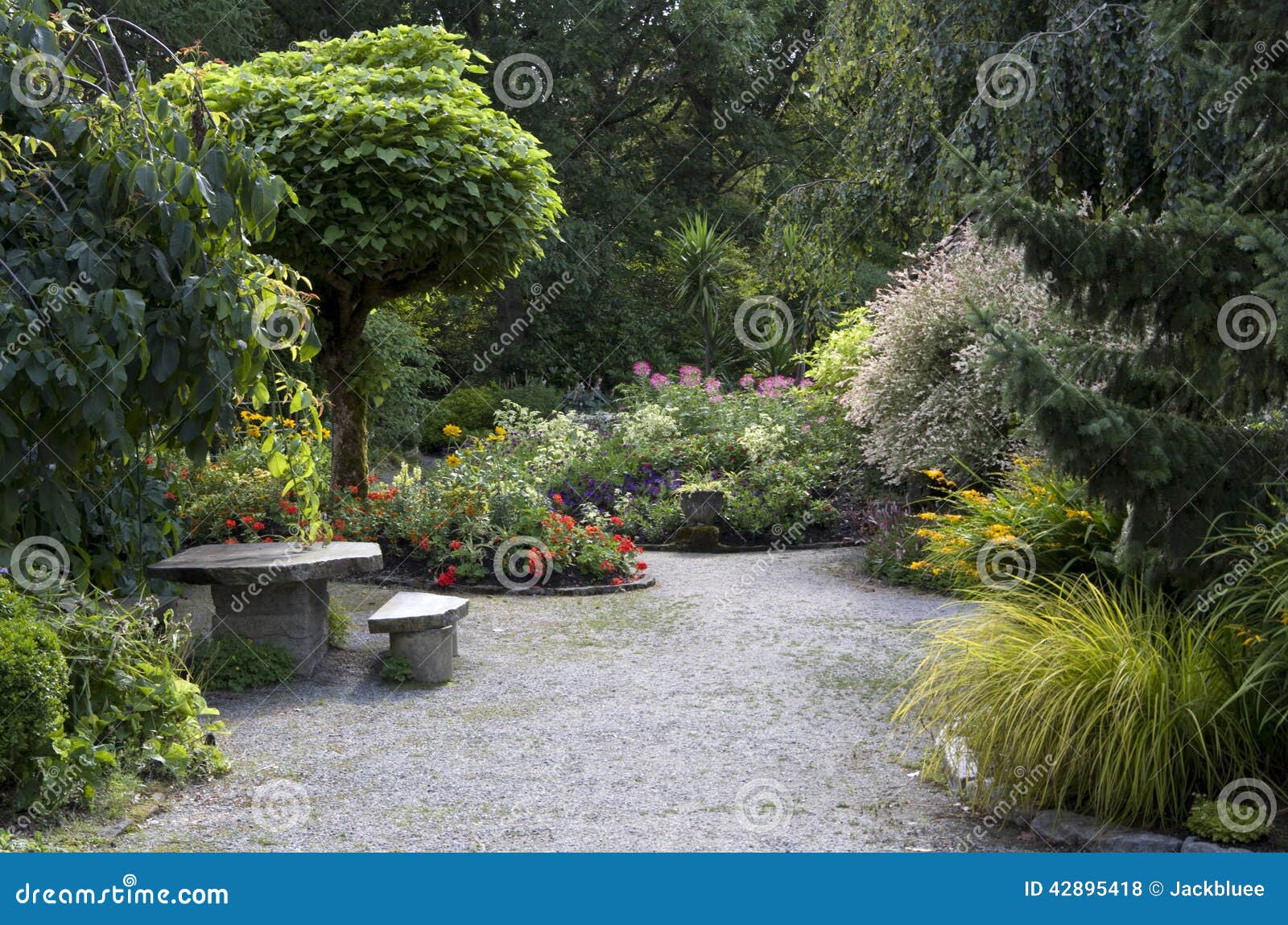 2,188 Rush Flowers Stock Photos - Free & Royalty-Free Stock Photos from ...