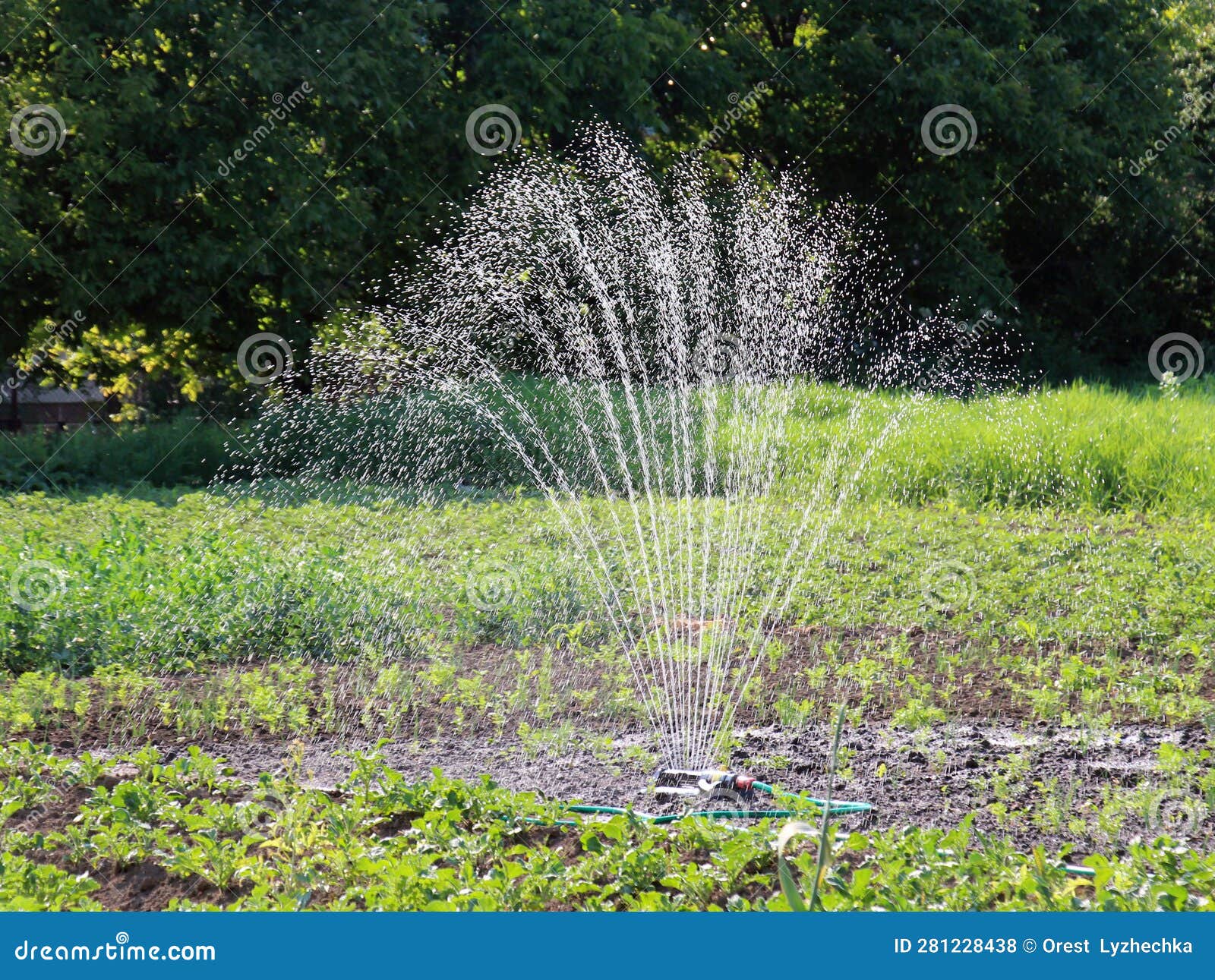 The Irrigation System is in Operation Stock Photo - Image of system ...
