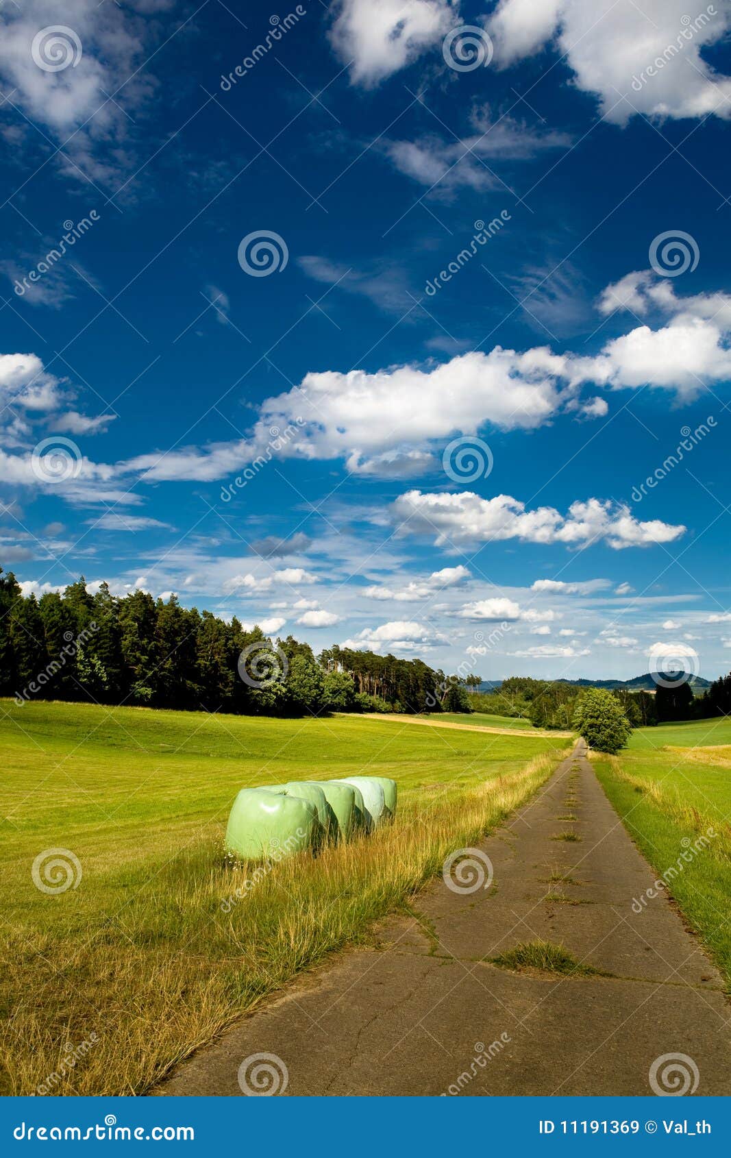 Summer in germany stock image. Image of idyllic, nature - 11191369
