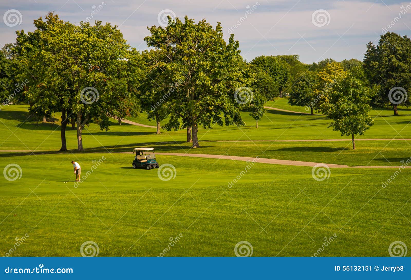 Summer on Golf Course stock image. Image of landscaping - 56132151