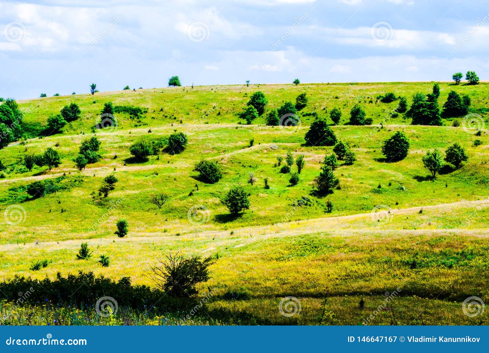 Summer green glade stock image. Image of terrain, forest - 146647167