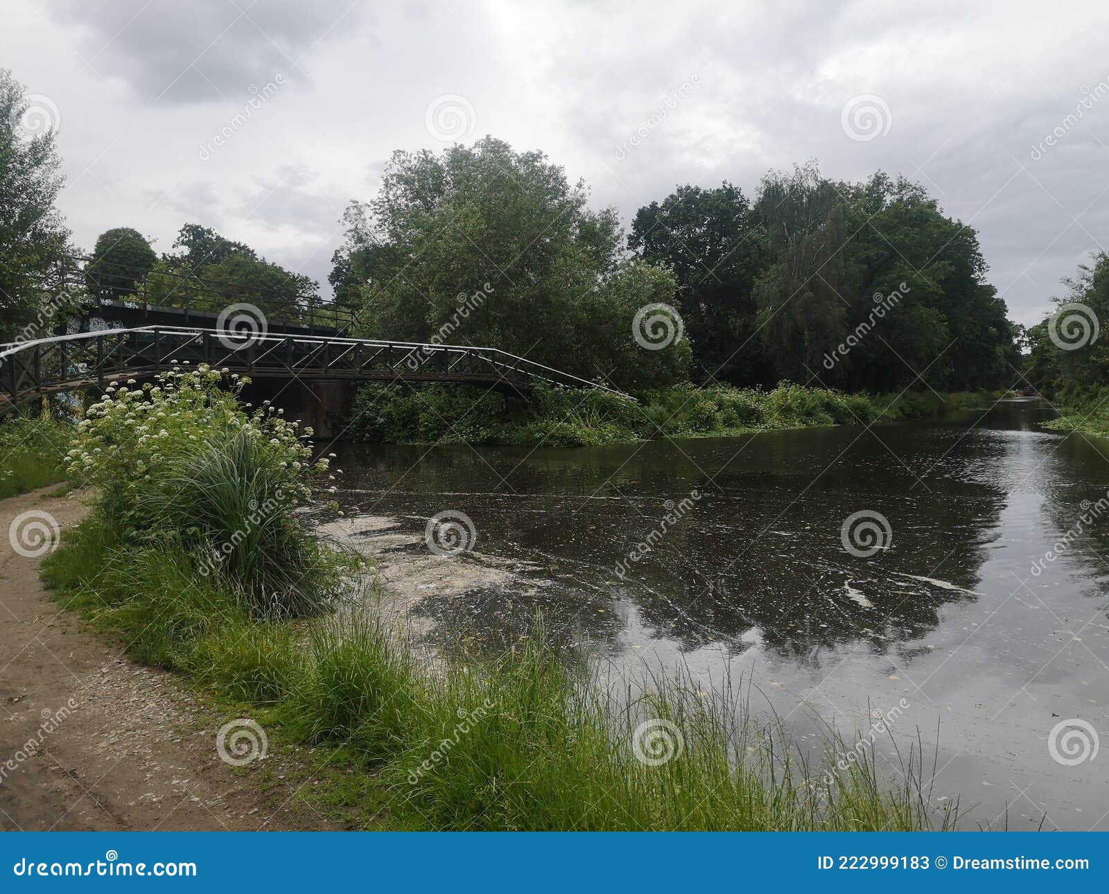 Summer Greenery Along the River Stock Image - Image of green, summer ...
