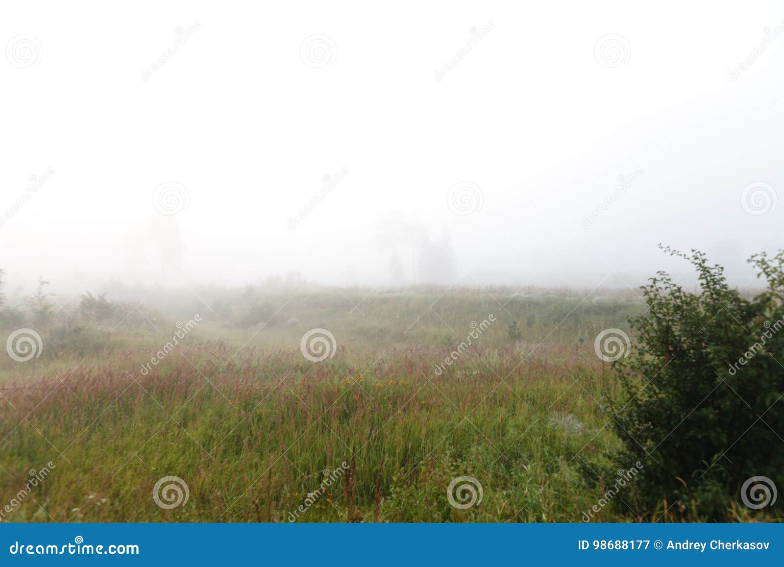 Ground with morning mist stock image. Image of countryside - 98688177
