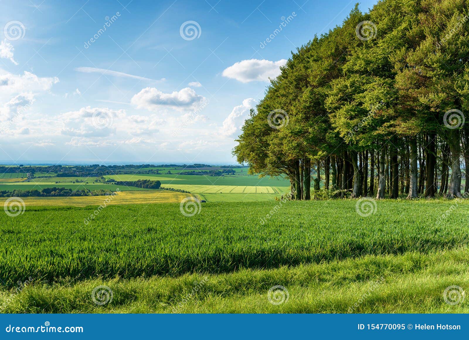 Summer on Hackpen Hill stock image. Image of picturesque - 154770095