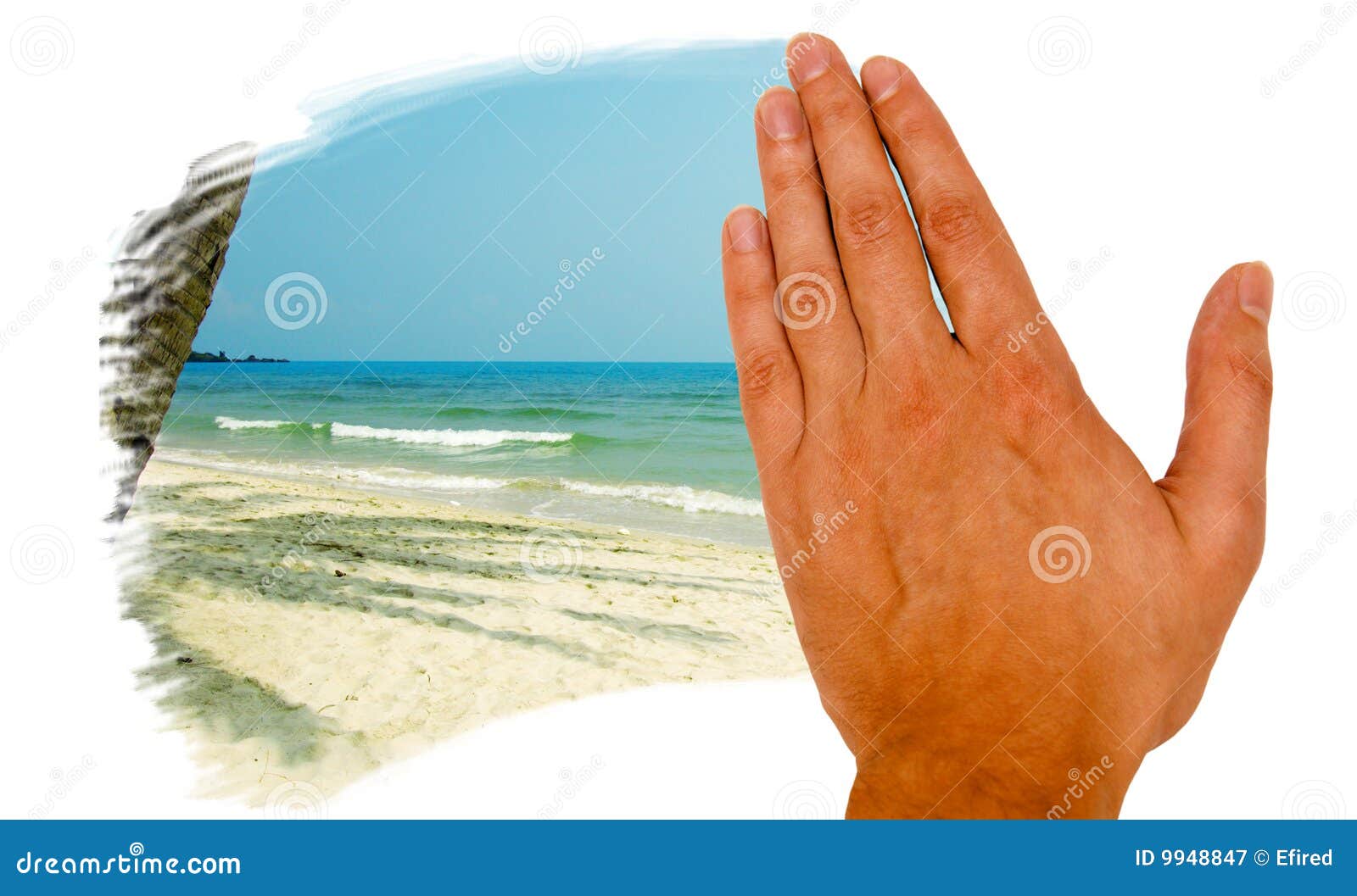Summer hand stock image. Image of hand, beauty, nature - 9948847