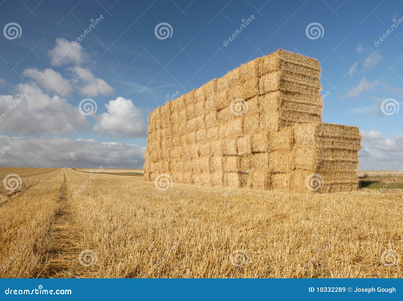 Summer Harvest Haystack Field Stock Image - Image of season, stubble ...