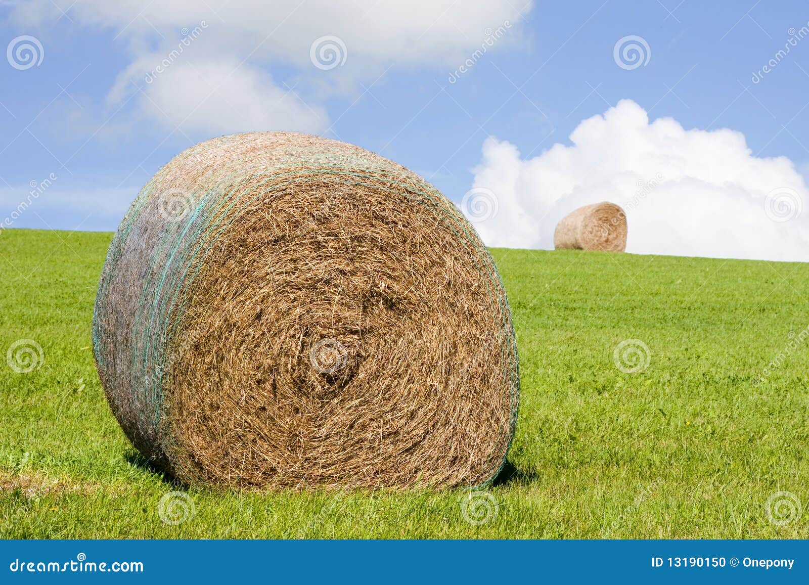 Summer Hay Bales stock photo. Image of harvested, crop - 13190150