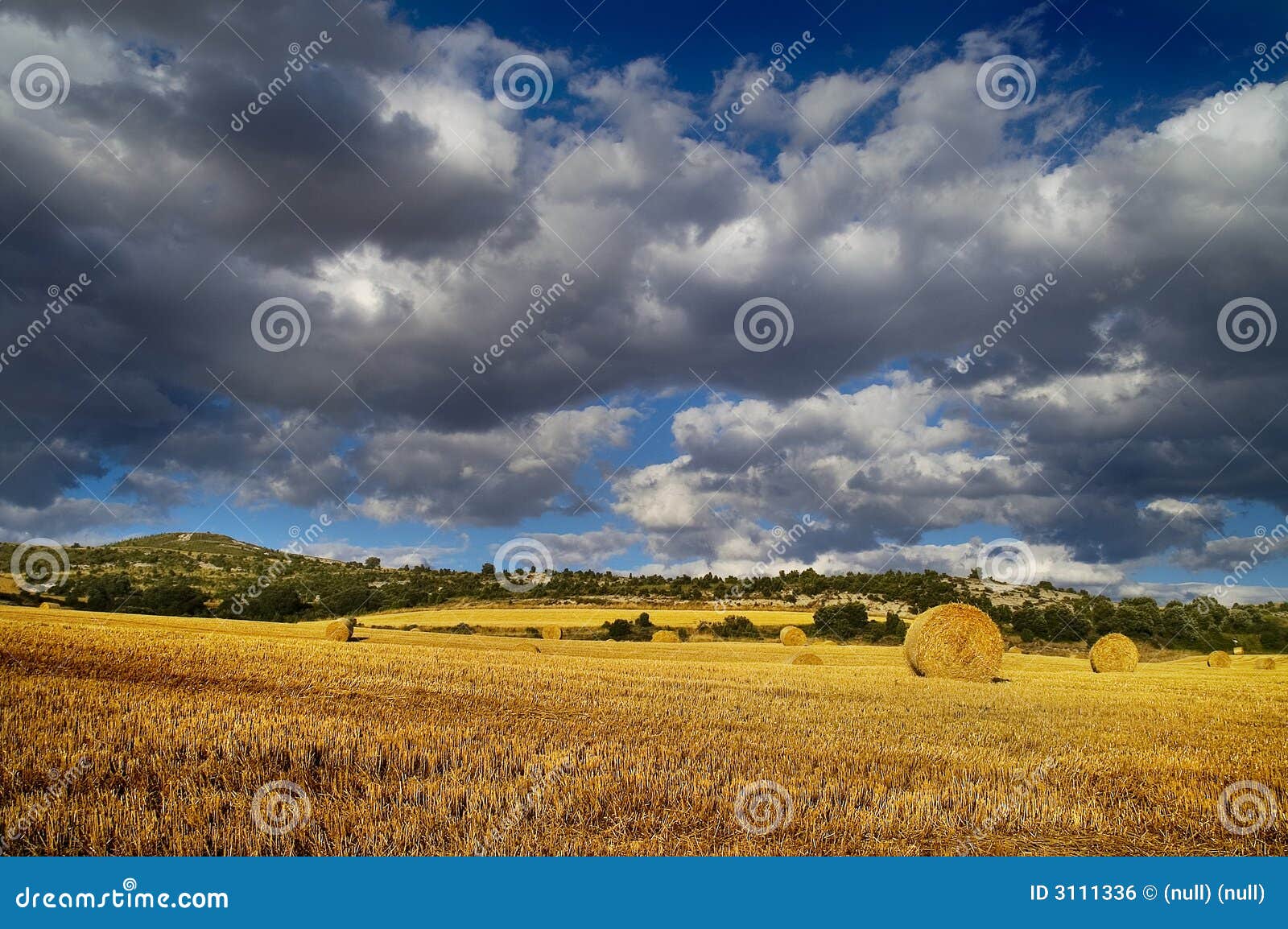 Summer hayfield stock photo. Image of farm, rural, farmland - 3111336